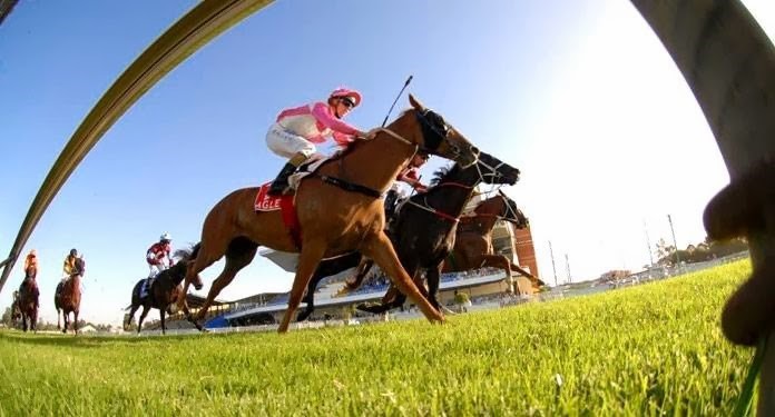 VIP Casino Host for Comps at Wyong Race Club, New South Wales