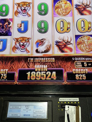 Buffalo Stampede Slot Machine by Aristocrat