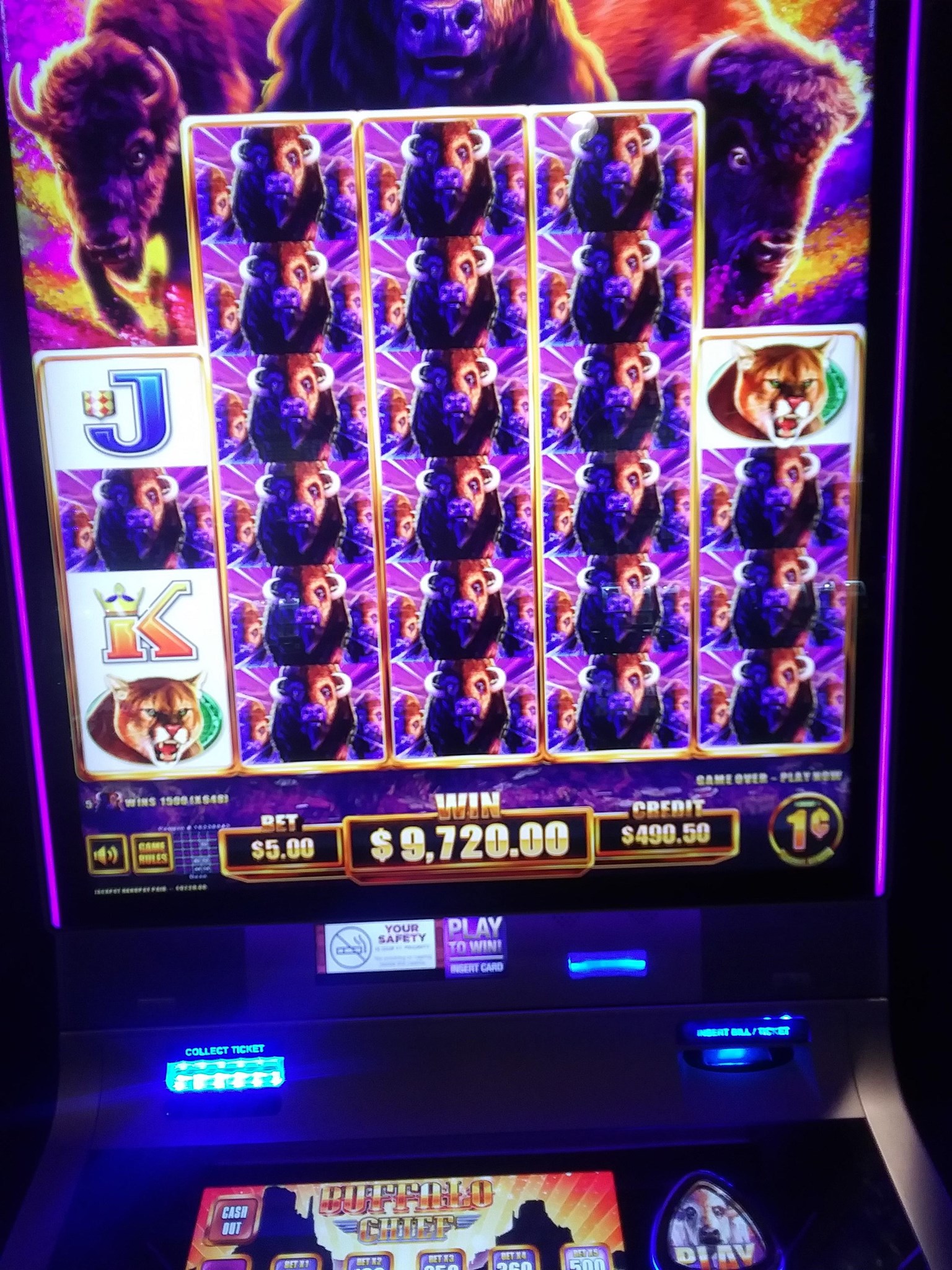 Buffalo Gold Collection Slot Machine by Aristocrat